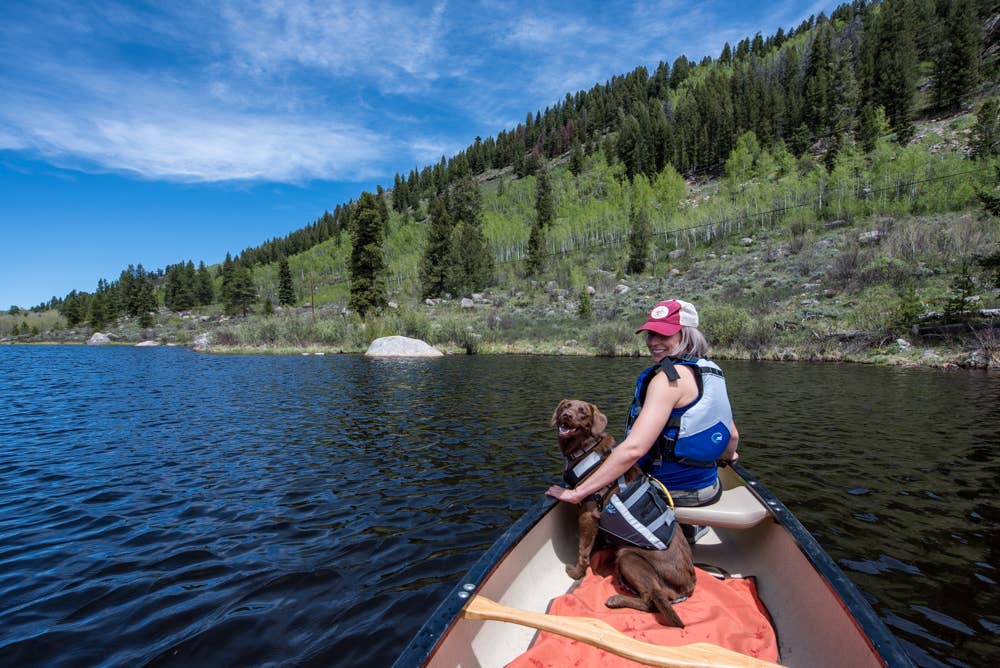 Essential Guide to Canoeing and Kayaking with Dogs