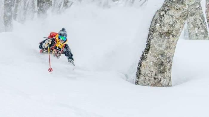 Skiing in Japan Is Back—and the Powder Was Worth the Wait