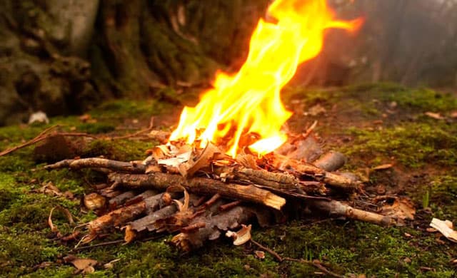Get your campfire blazing with these 10 natural fire-starting materials