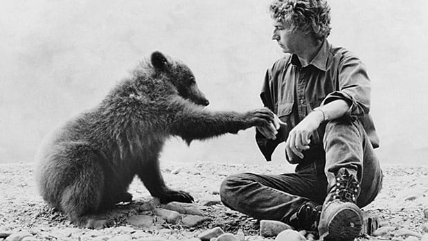 The 10 Best Bear Movies, Ranked by Realism