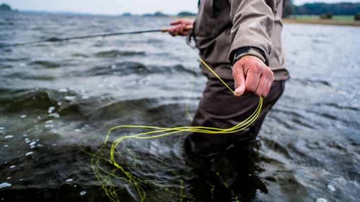 Why You'll Probably Be Better at Fly-Fishing Than You Think