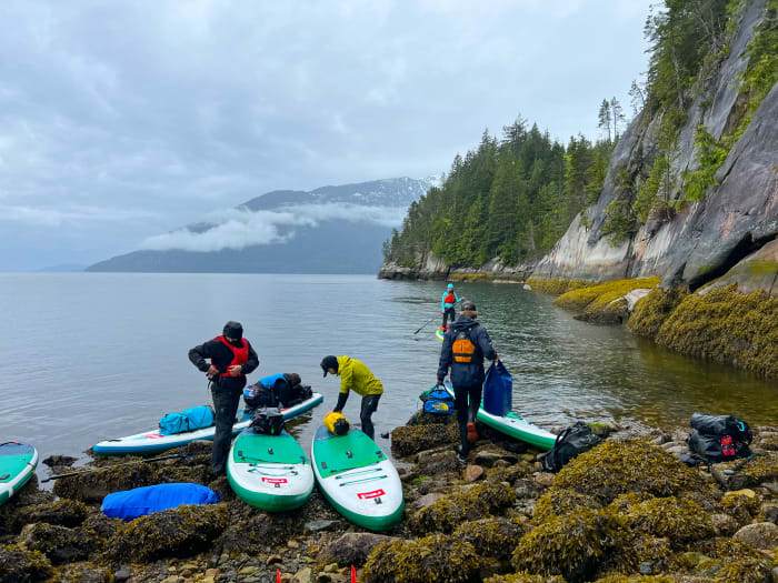 SUP to Table: How to Forage for Food on a Paddleboard Trip