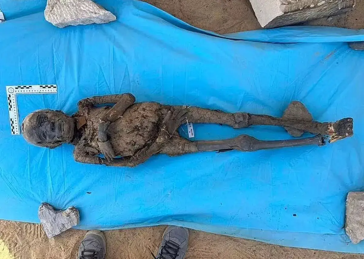 Archaeologists Discover Egyptian ‘City of the Dead’ Housing Thousands ...