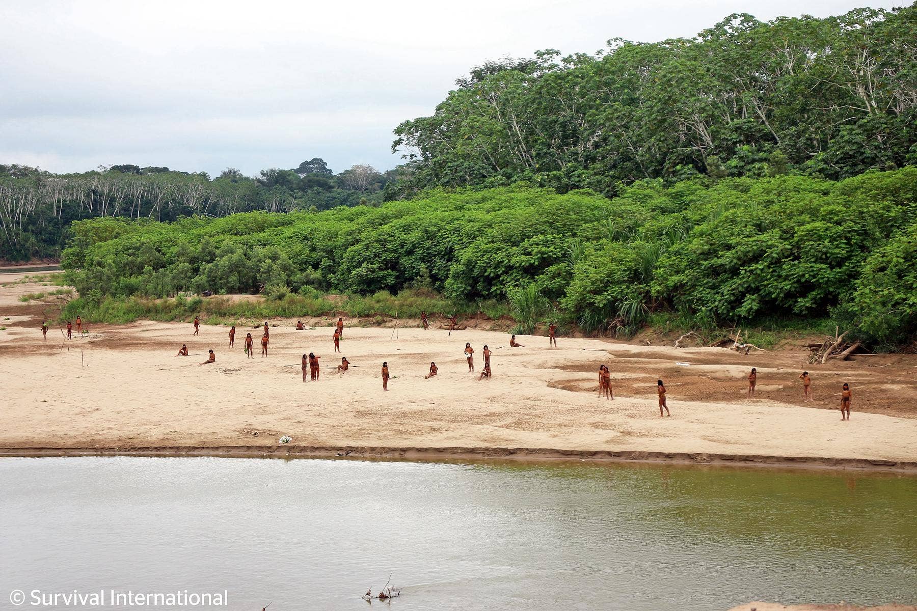 Rare Video, Images Show World’s Largest Uncontacted Indigenous Tribe