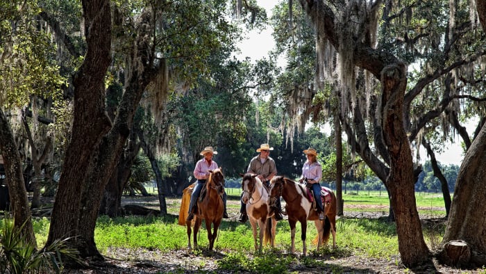 Florida's Westgate River Ranch & Rodeo Travel Review