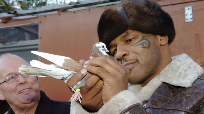 Mike Tyson Just Took His Love for Pigeons to the Next Level