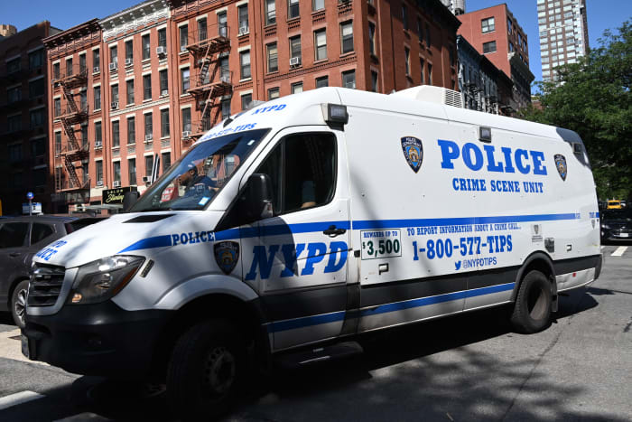 Influencer Says She Was Punched in Head by Stranger in New York