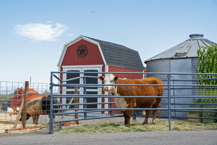 Traeger Grills Shows How Farm-to-Table Is Done In Epic PR Stunt