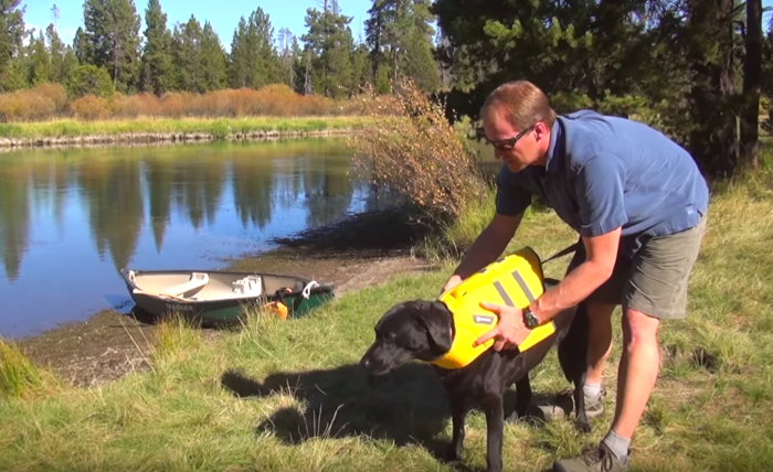 Canine Floatation Devices (CFD) for SUP Pups