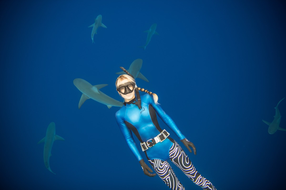 Swimming With Sharks: Everything You Need to Know | Men's Journal