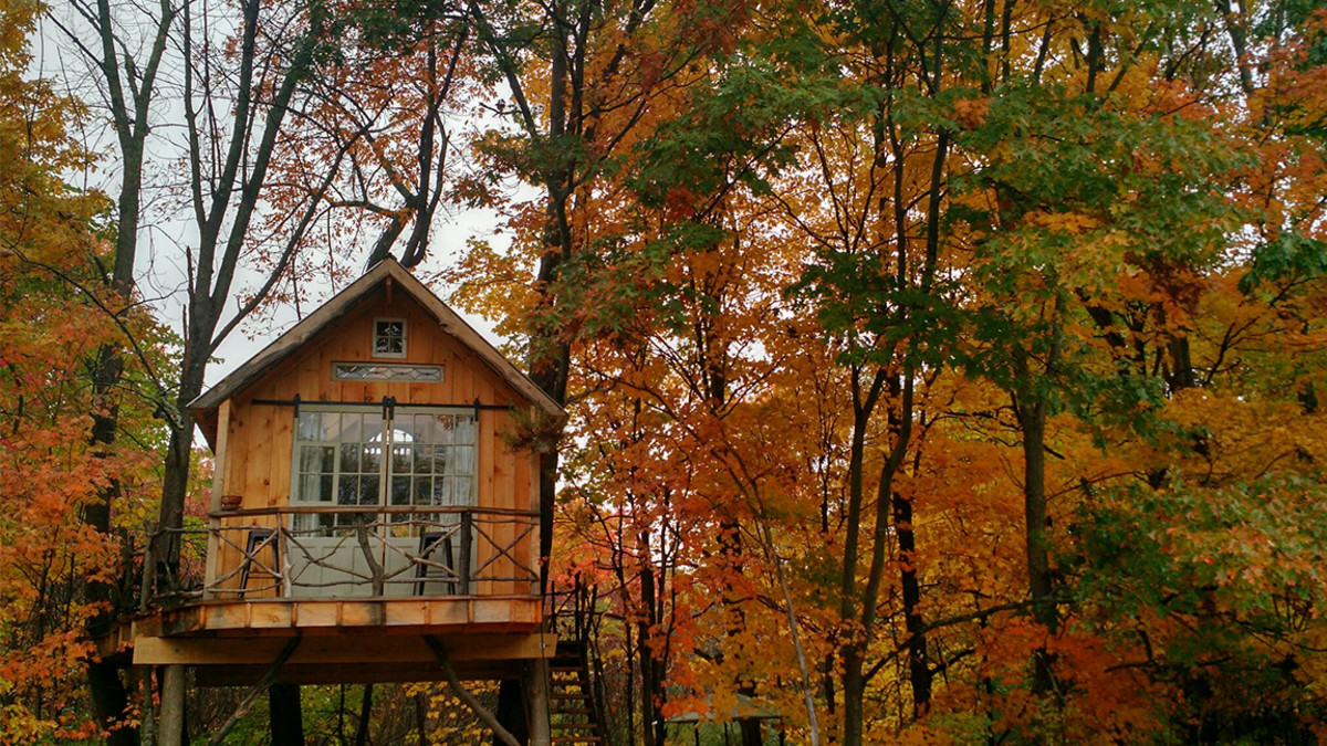 Autumn Travel: The Best Airbnbs for Viewing Fall Foliage