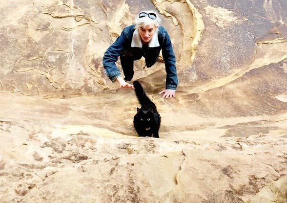 The story of Millie the rock climbing cat
