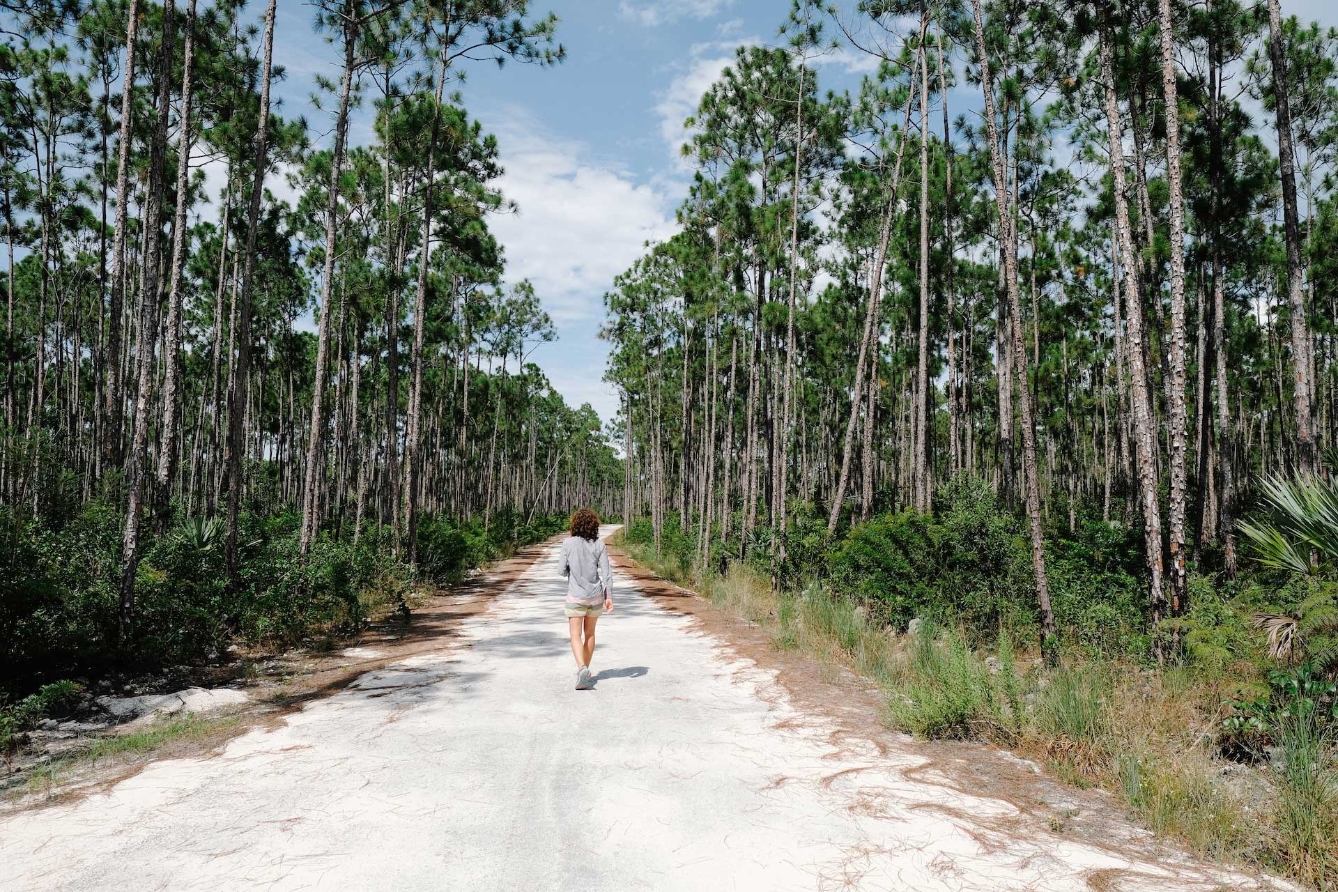 Exploring Andros Island, Bahamas Through Photos