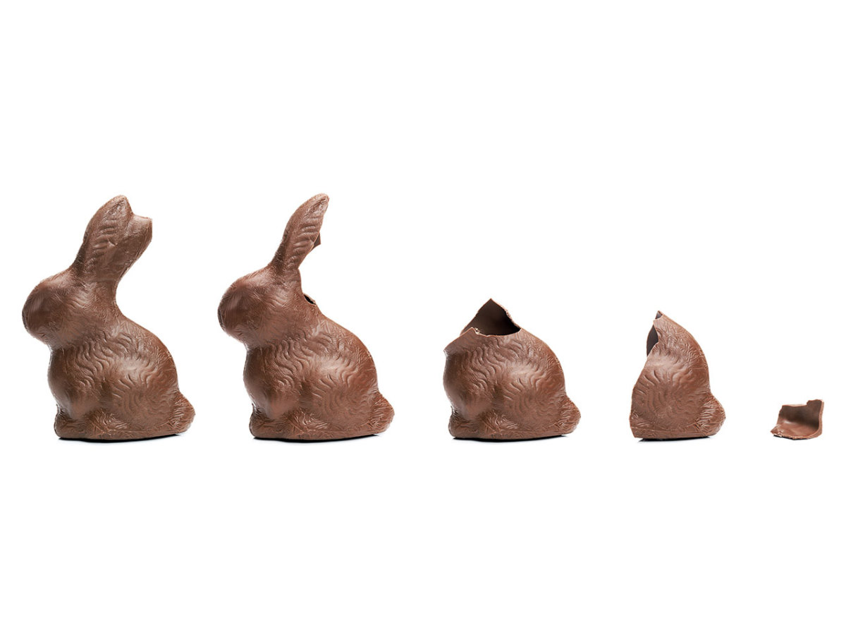 Chocolate bunny lovers tend to chomp down on the ears for their first bite