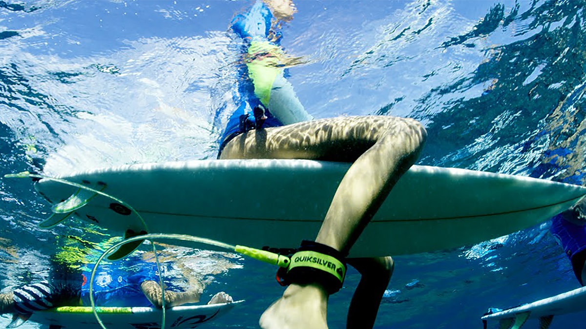 Learn about Reunion Island's 'shark crisis' in this new documentary ...