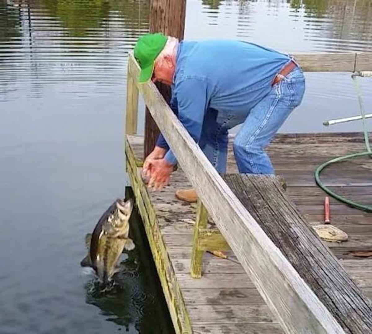 Fisherman catches huge bass using only his bare hands