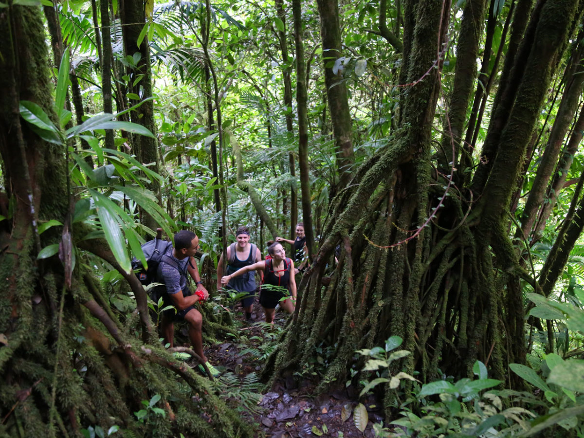 Want to Trek Through the Jungle and Repel Down a Waterfall? Here’s Why ...