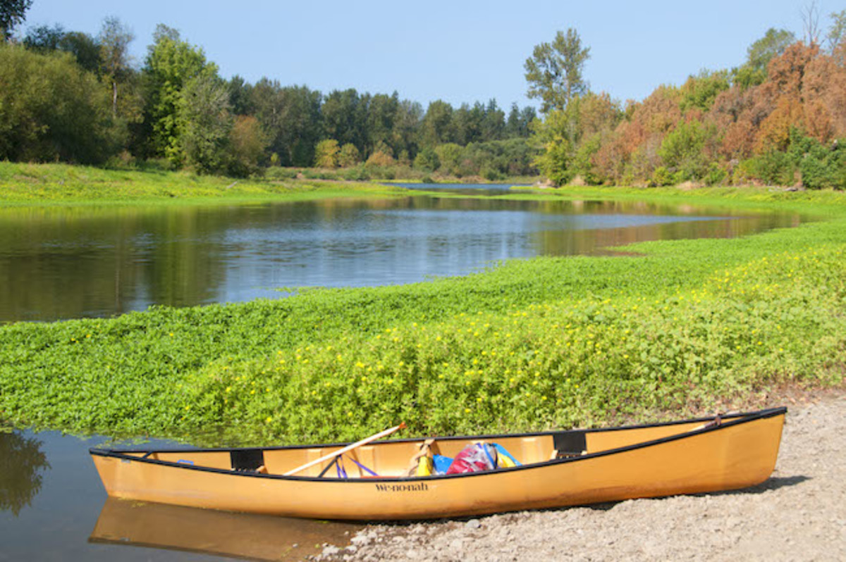 Willamette Water Trail: Mellow Paddling in Oregon | Canoe & Kayak Magazine