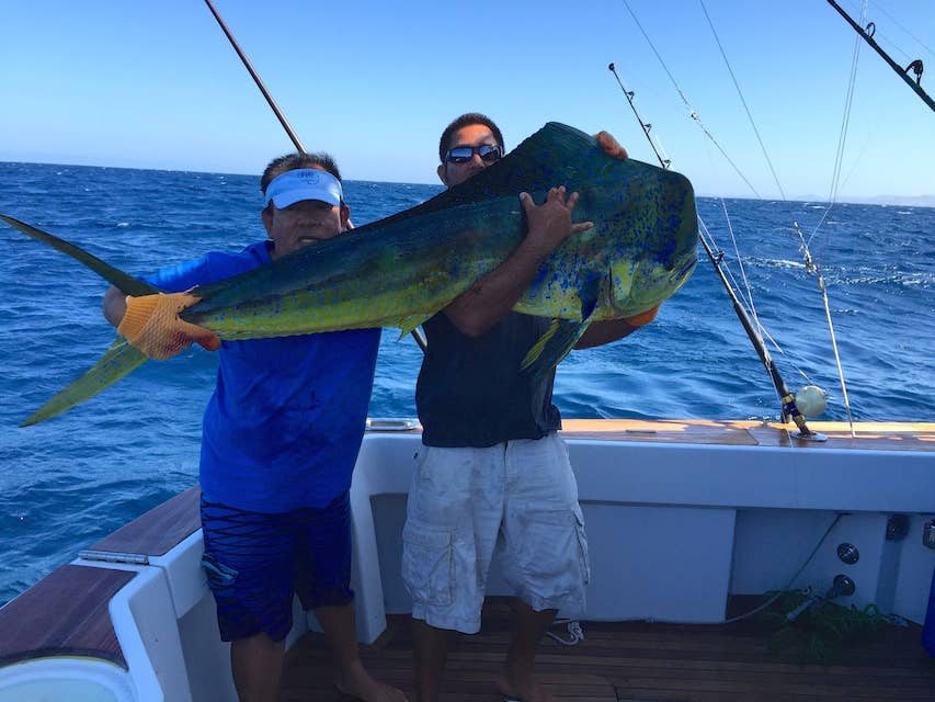 Dorado caught off Cabo possible world record | GrindTV.com
