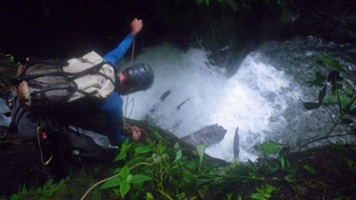 The Search Continues for Cody Roman Dial