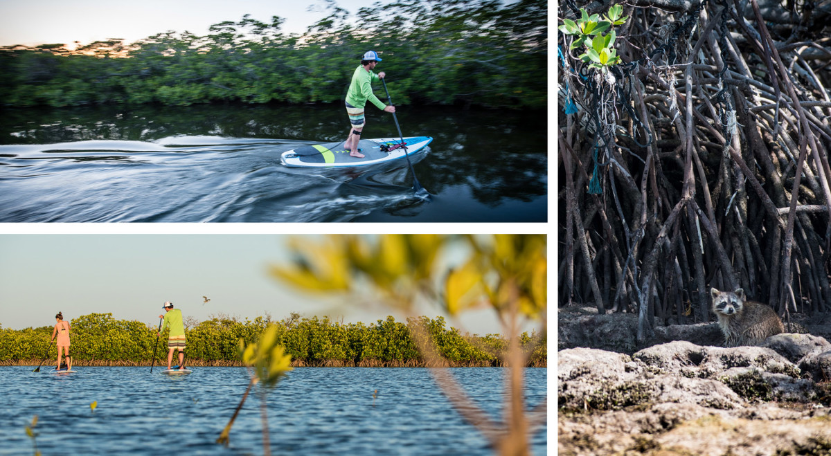 Endless Ways: Exploring Key Largo