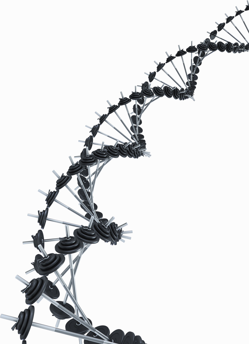 Can DNA Testing Can Help You Find a Better Workout? - Men's Journal
