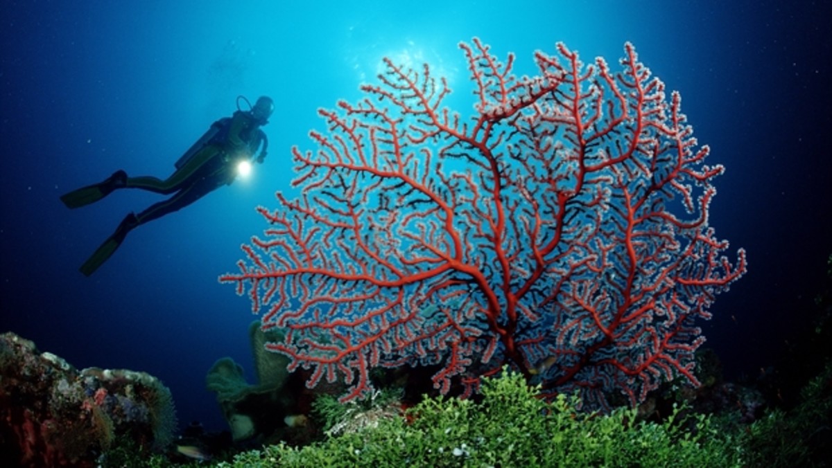 25 Travel Destinations to Visit Before They Disappear