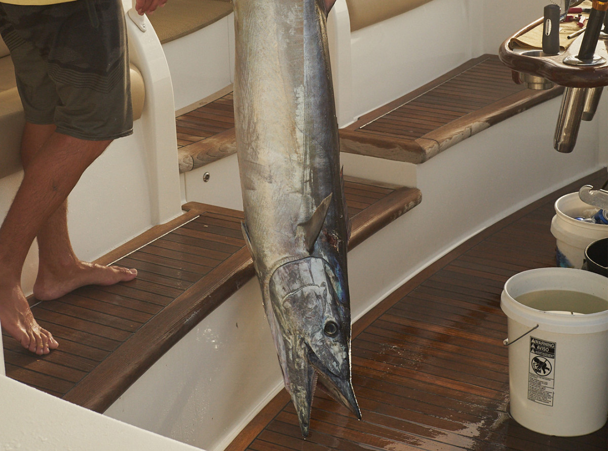 How Legendary Angler Flip Pallot Is Trying to Protect Fisheries - Men's ...