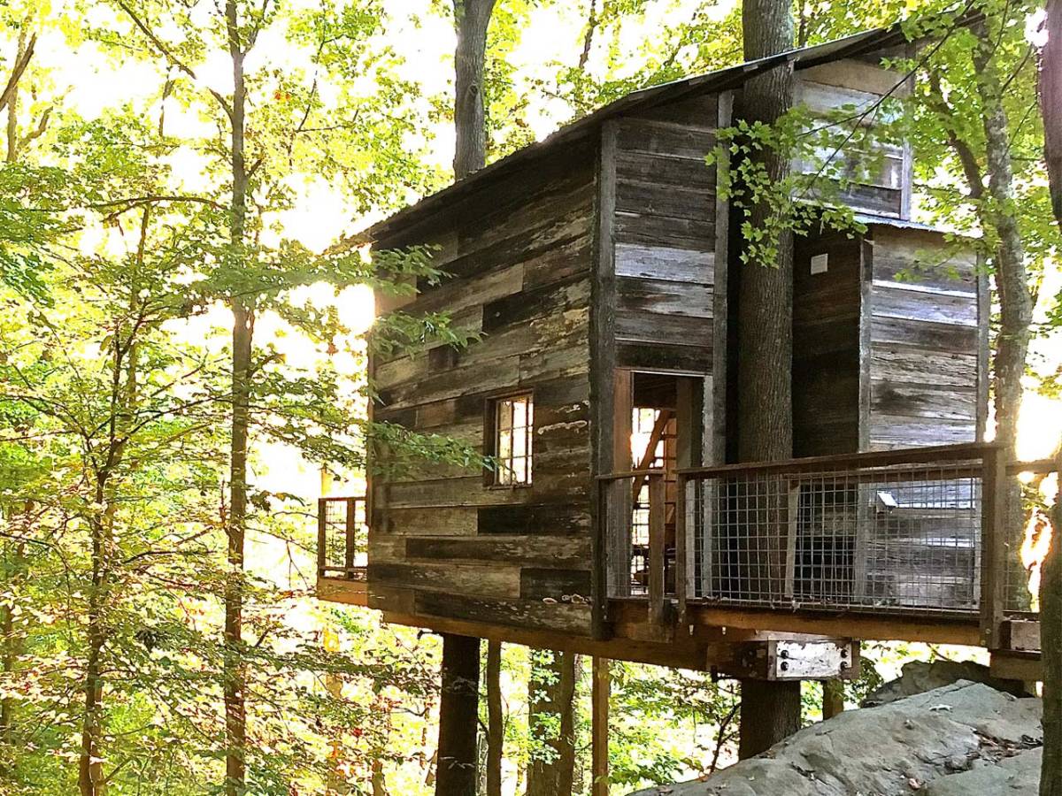 Coolest Airbnb Treehouses for Fall Getaways