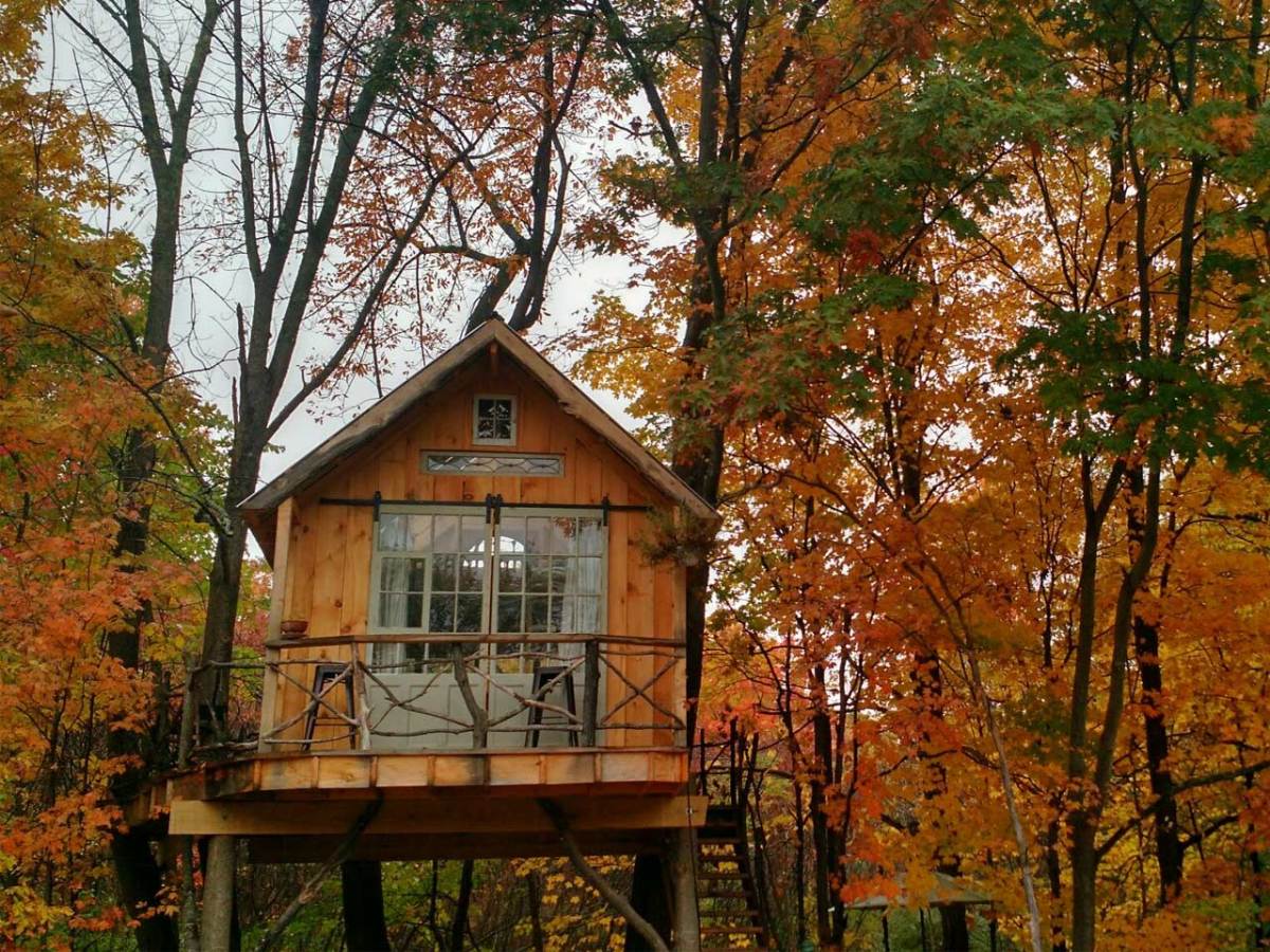 Coolest Airbnb Treehouses for Fall Getaways
