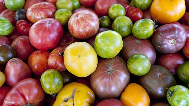35 Ways to Eat a Tomato