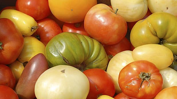 35 Ways to Eat a Tomato