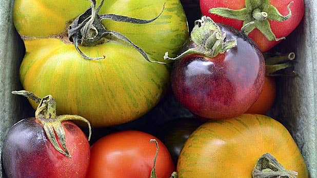 35 Ways to Eat a Tomato