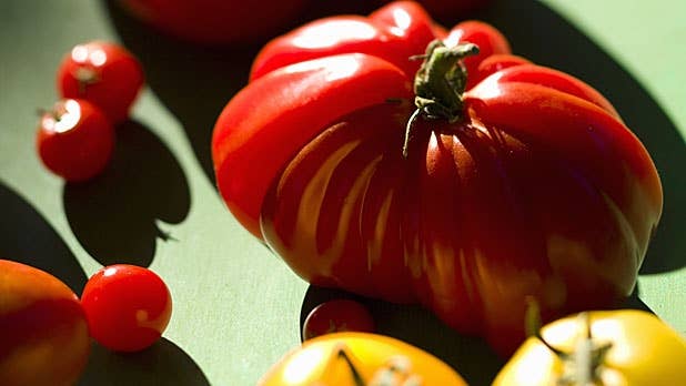 35 Ways to Eat a Tomato