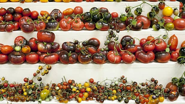 35 Ways to Eat a Tomato