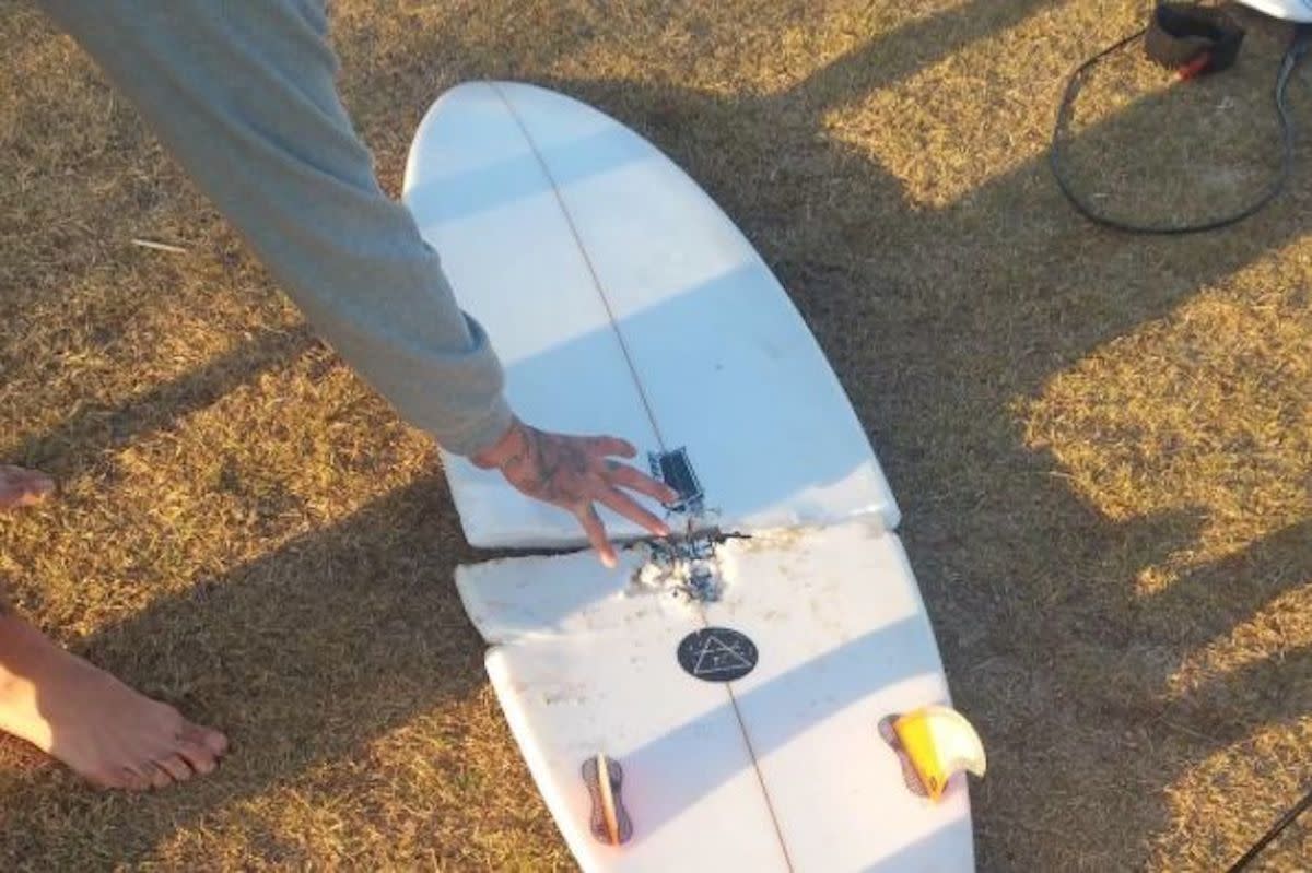Great White Shark Bite Surfboard