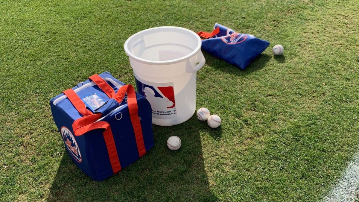 A Baseball Fan's Paradise: Spring Training in Florida