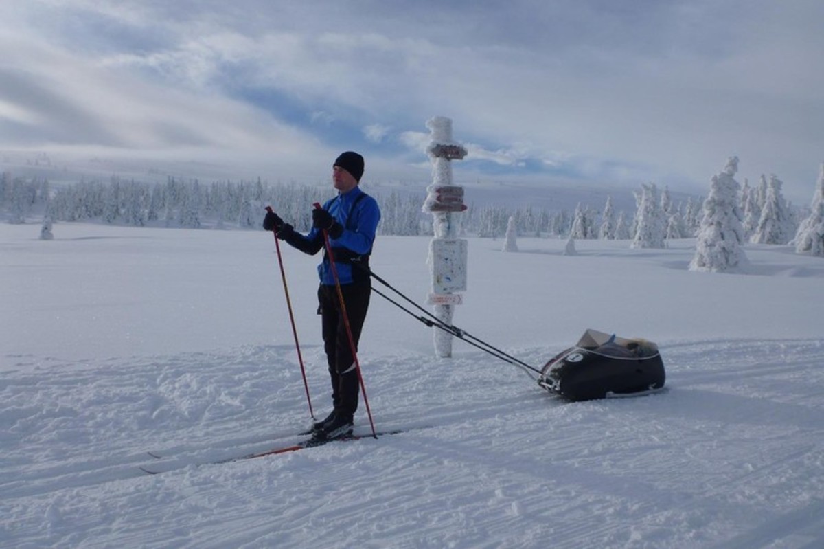 Are bicycle sidecars the new fixie?