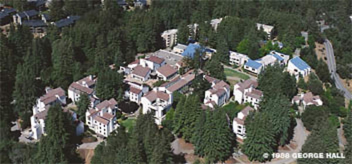 The Top 10 Surf Colleges In America