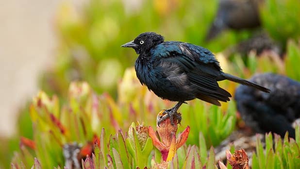 10 Adventure-packed Birding Destinations