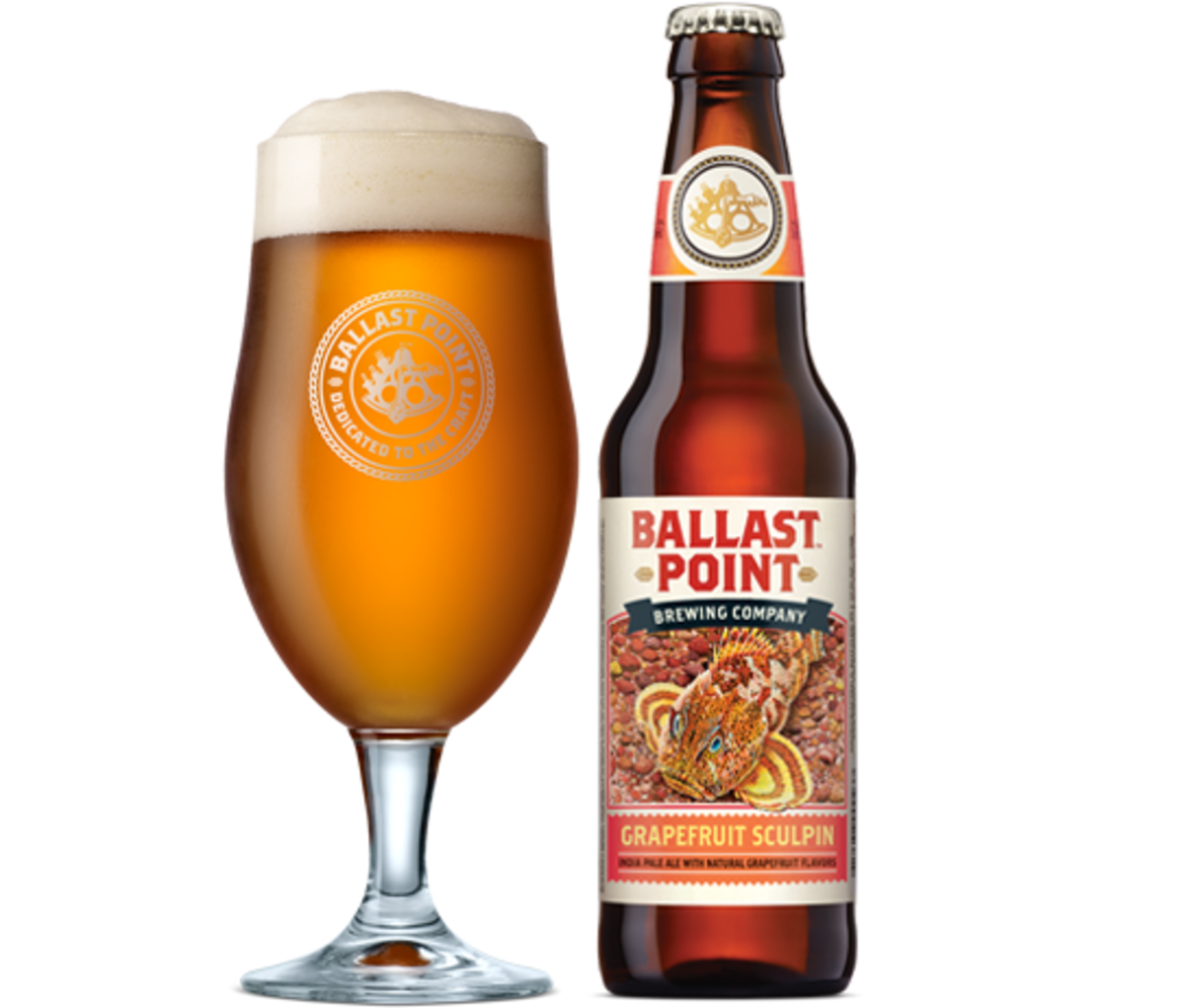 The 8 Best Citrus Beers - Grapefruit, Lemon, & More