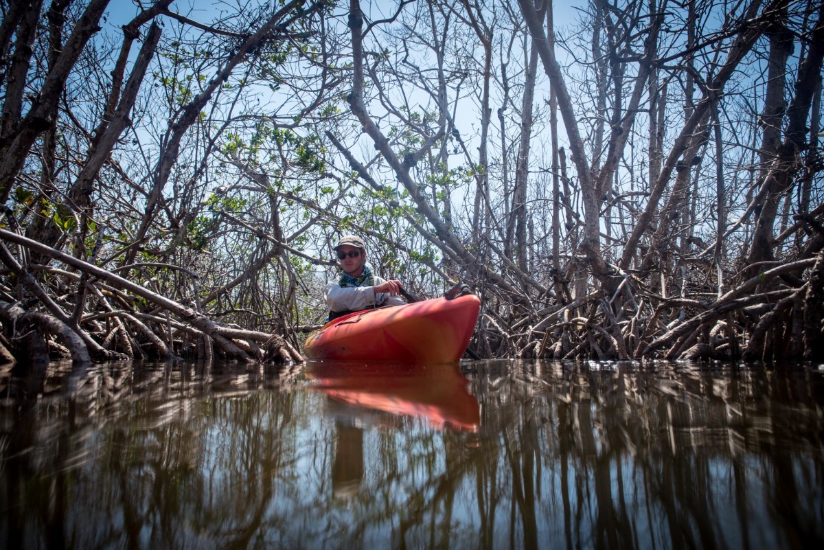 Destination: Big Pine Key