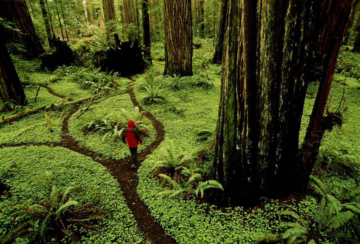 The Weed Country Road Trip: San Francisco to Ukiah to Arcata