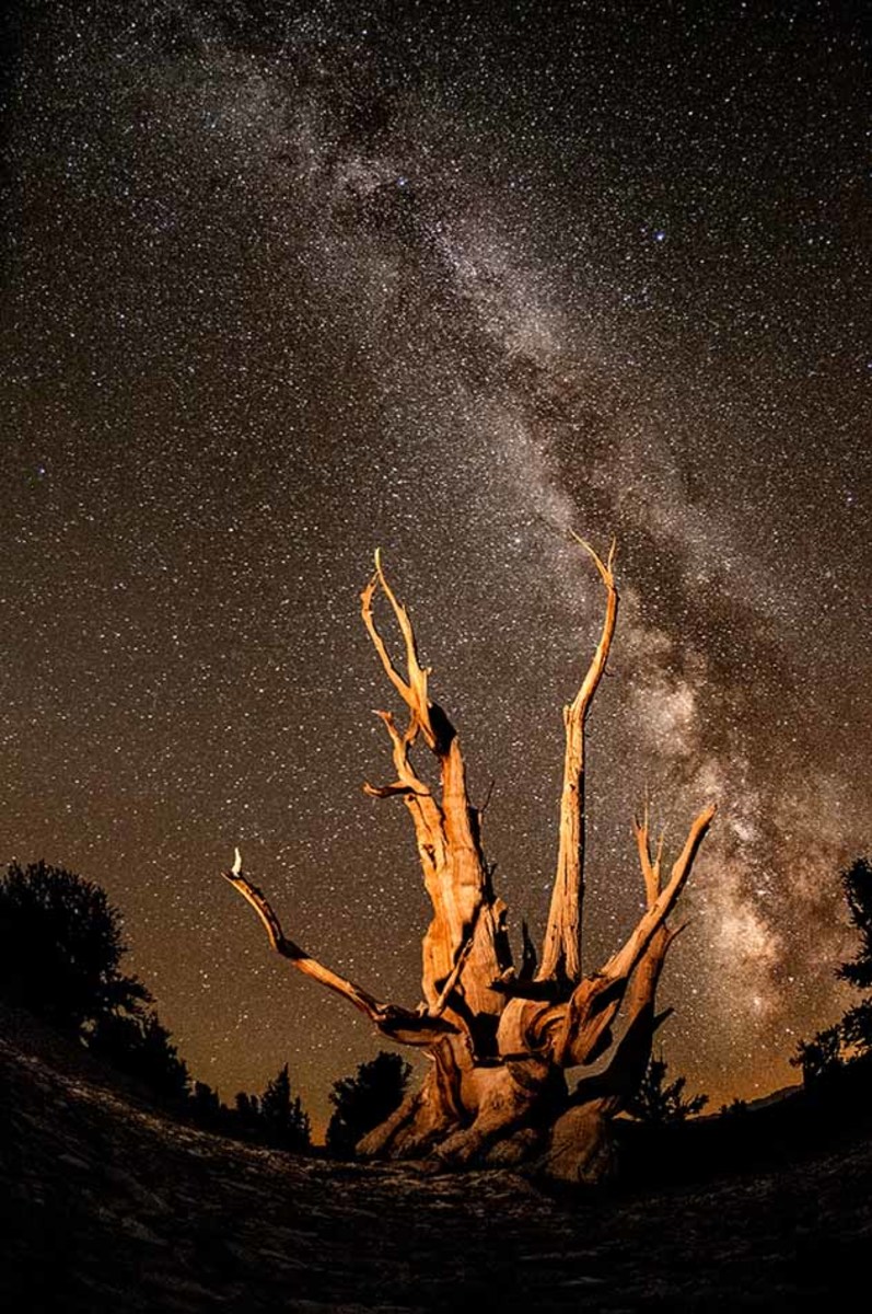 How to take landscape photos at night