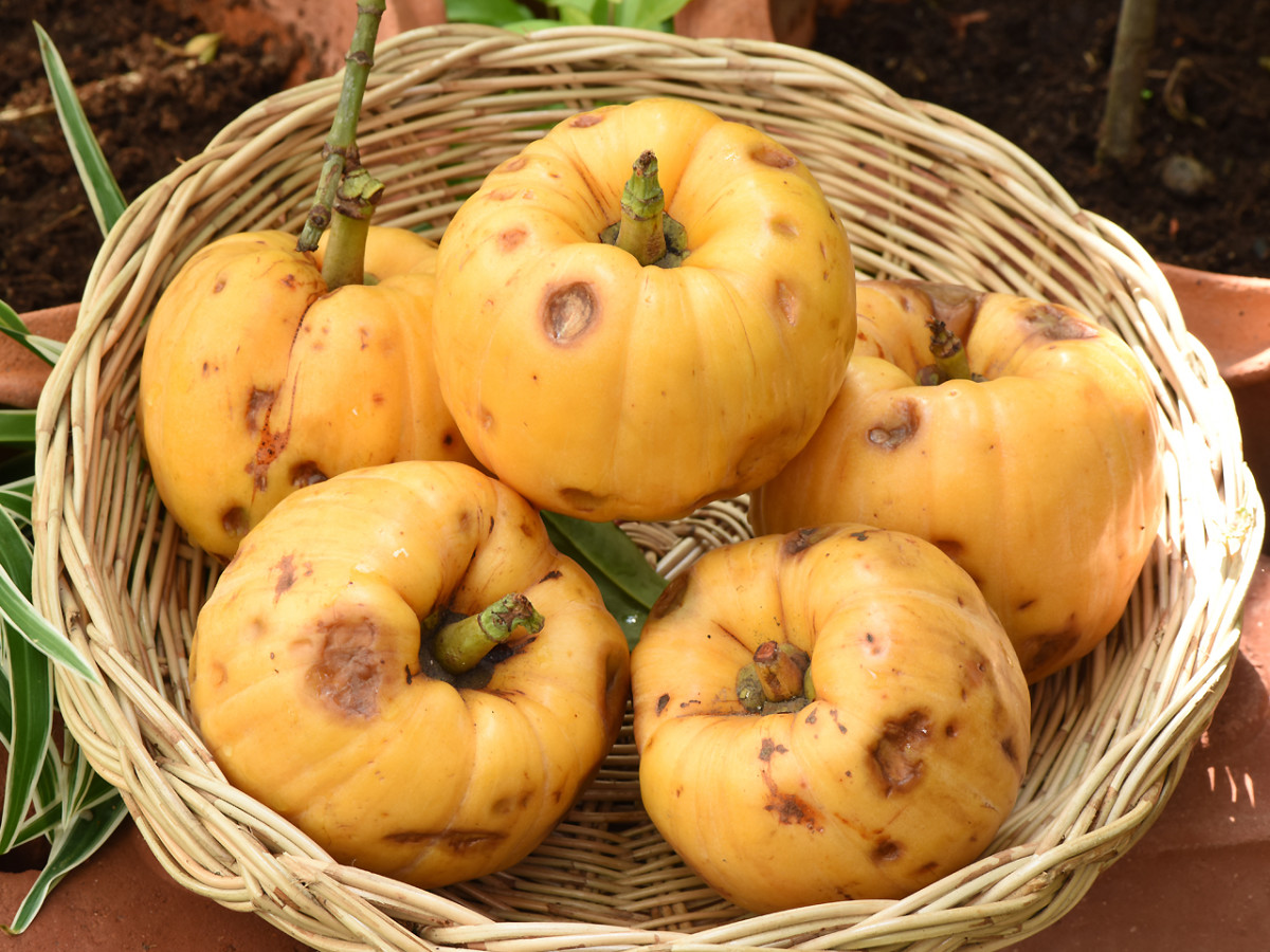 10 Best Men's Supplements for Weight Loss