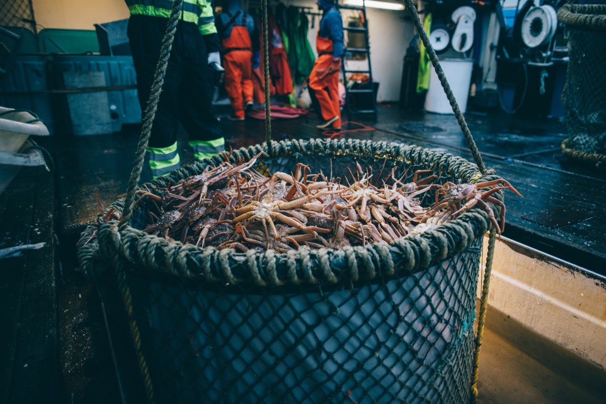 Dispatches: Life on an Alaskan Crab Boat