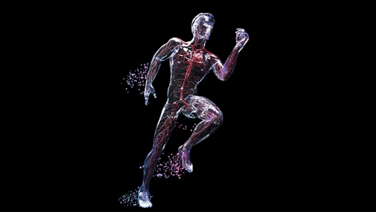 Test Your Blood, Get Fitter?