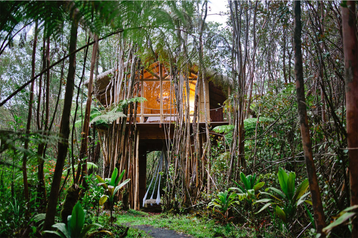 The Coolest Jurassic Park-esque Airbnbs You Should Book This Summer