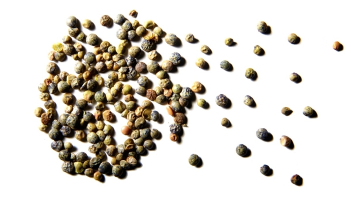 Top Protein Power Foods - Men's Journal