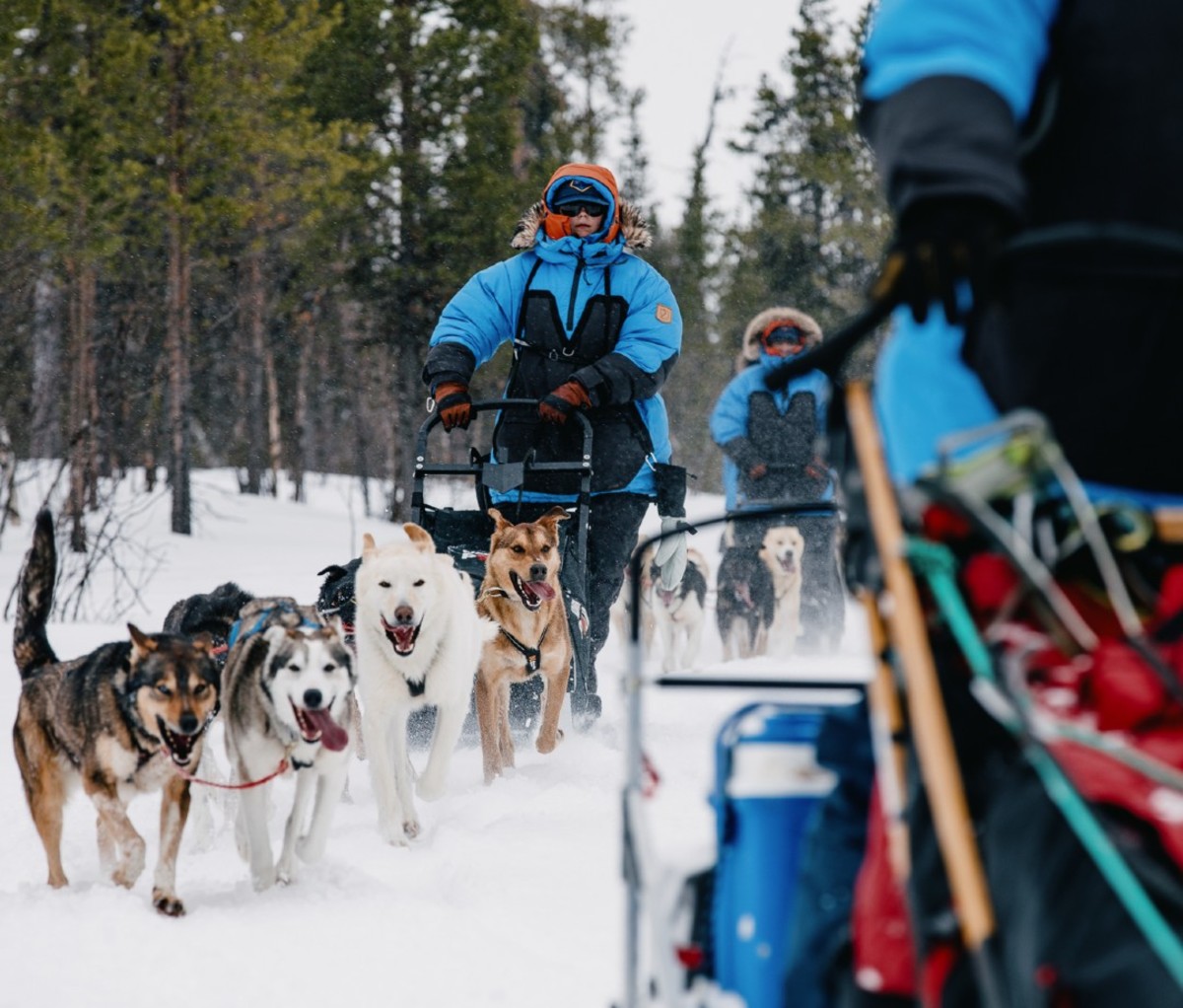 Fjällräven Polar Dogsled Journey Across Scandinavia: How to Apply